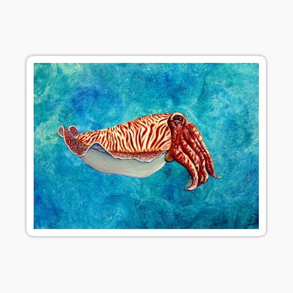 "Cuttlefish" Sticker for Sale by KrisFairchild | Redbubble