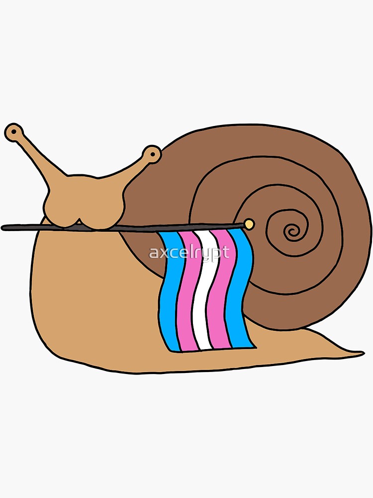 "Trans pride flag snail doodle" Sticker for Sale by axcelrypt | Redbubble