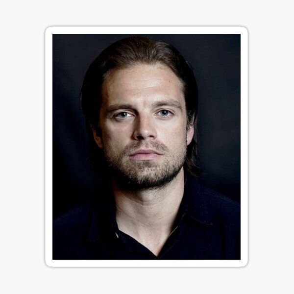 "Sebastian Stan" Sticker for Sale by fuzzi14 | Redbubble