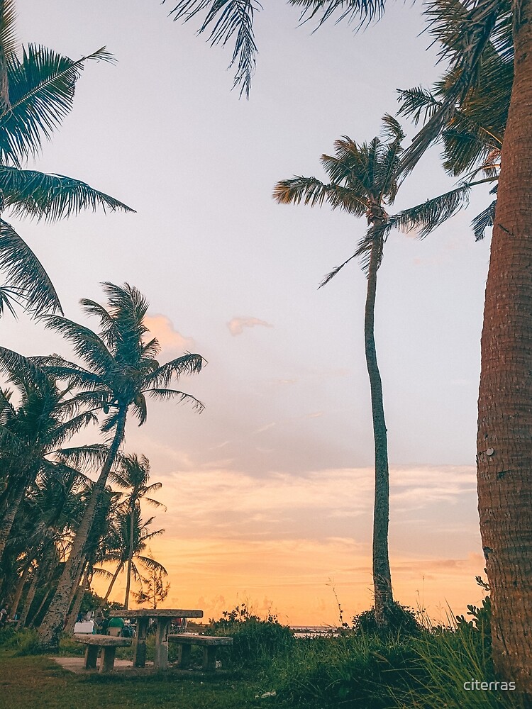 "Asan Original " Poster by citerras | Redbubble