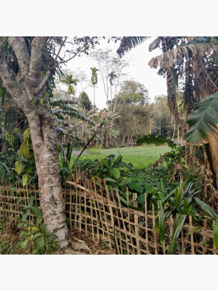 "The Beauty of Assam" Sticker for Sale by Panache714 | Redbubble