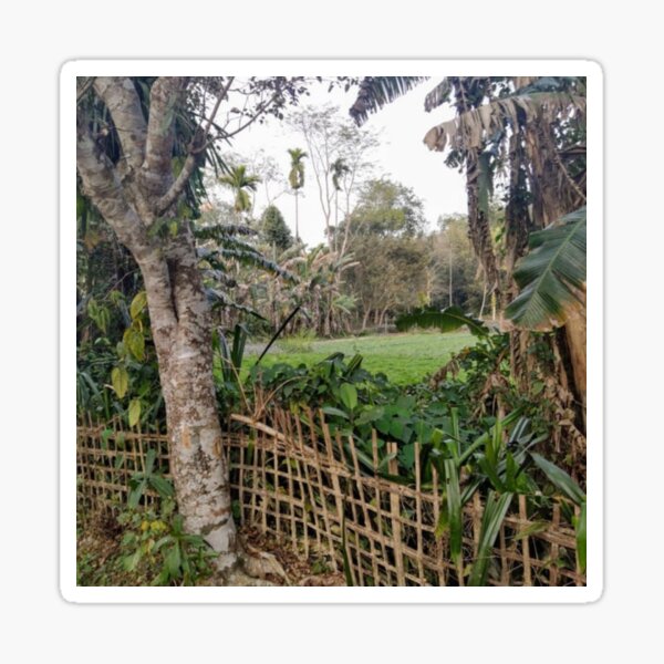 "The Beauty of Assam" Sticker for Sale by Panache714 | Redbubble