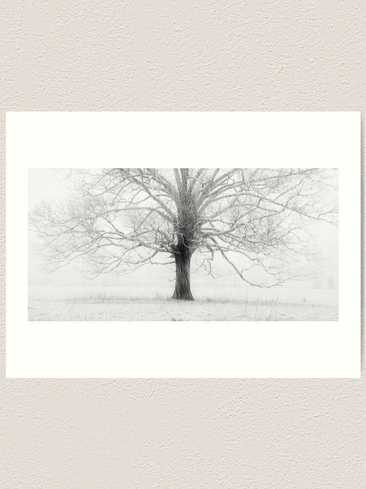 "branching out" Art Print for Sale by dcwitmer | Redbubble