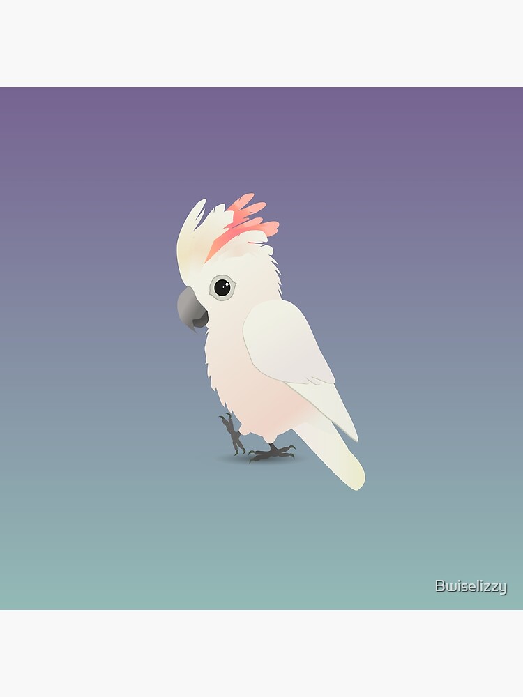 Salmon Crested Cockatoo Vector Drawing Poster For Sale By Bwiselizzy Redbubble