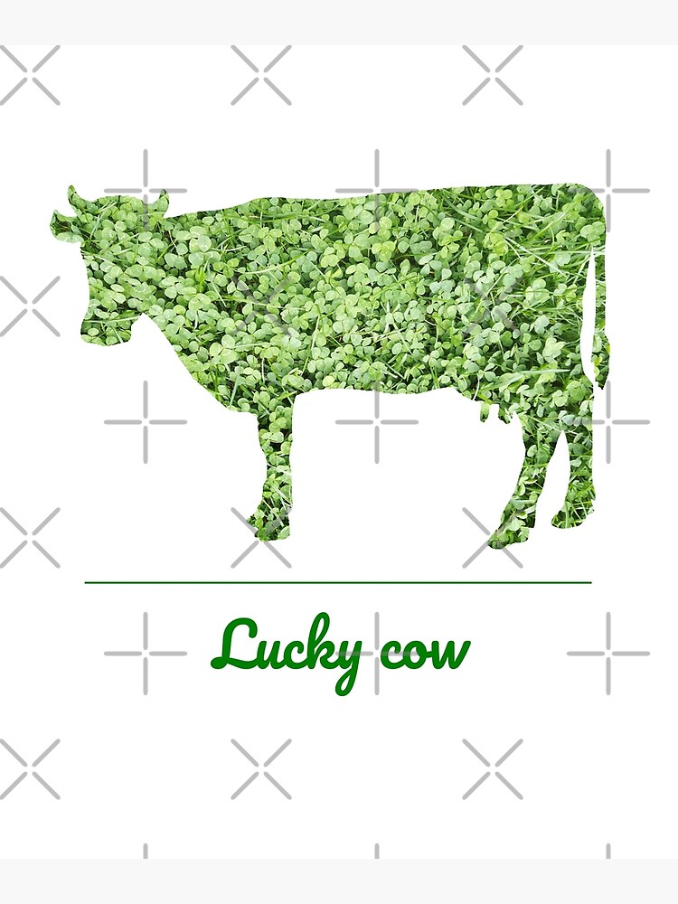 "Lucky Cow Silhouette Textured With Clovers, That Bring Good Luck" Art ...