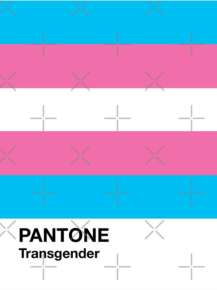 "Pantone Transgender Flag" Sticker for Sale by MonkeySame | Redbubble