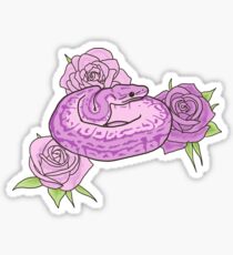 Snakes: Stickers | Redbubble