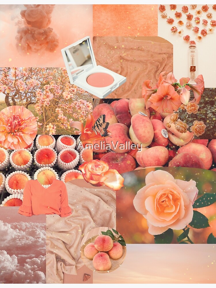 "Peach collage " Poster by AmeliaValley | Redbubble