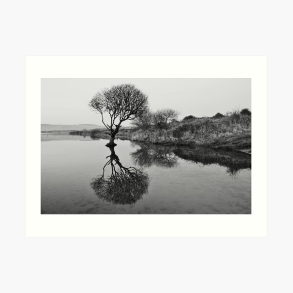 "Lone Tree" Art Print by Pau7a | Redbubble