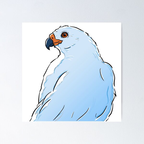 Bird Knowledge Posters for Sale | Redbubble