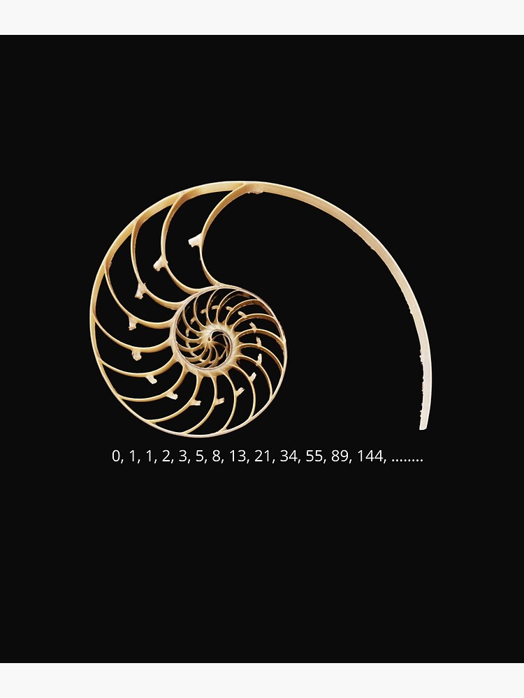 "Fibonacci ∙ Math Art ∙ Science Engineer ∙ Nerdy ∙ Golden Ratio ∙ ...