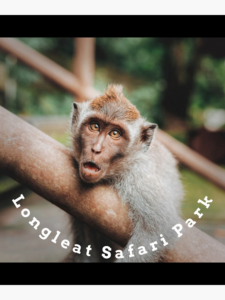 "LONGLEAT SAFARI PARK" Poster by Flexys | Redbubble