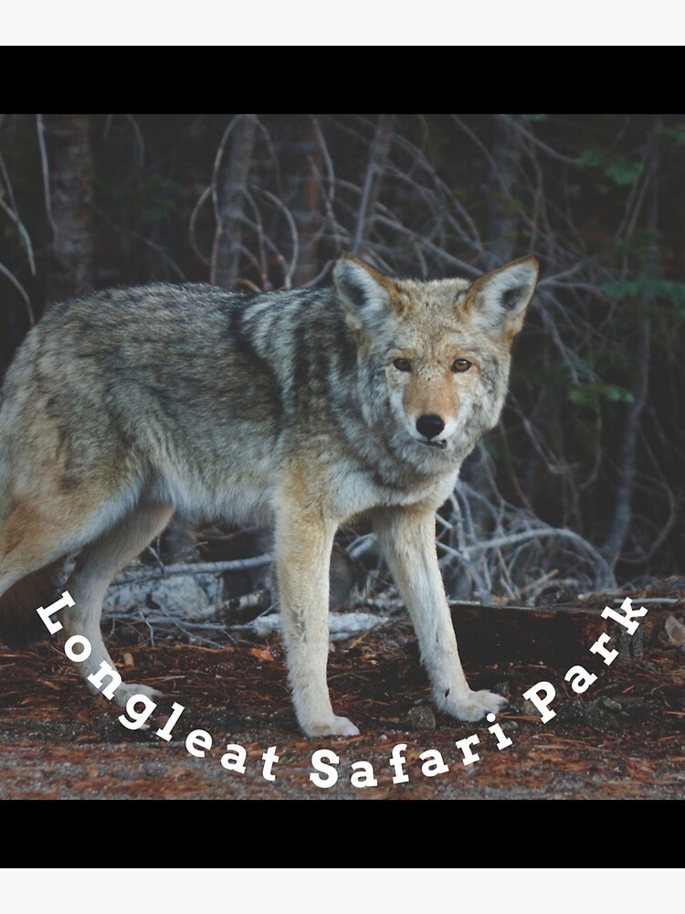 "LONGLEAT SAFARI PARK" Poster for Sale by Flexys | Redbubble