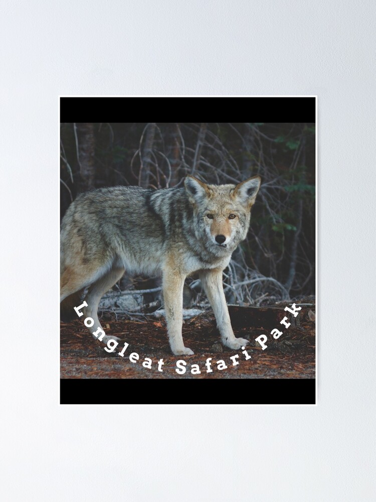 "LONGLEAT SAFARI PARK" Poster for Sale by Flexys | Redbubble