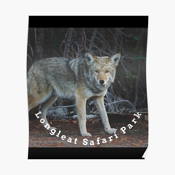 "LONGLEAT SAFARI PARK" Poster for Sale by Flexys | Redbubble