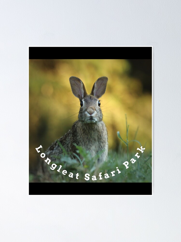 "LONGLEAT SAFARI PARK" Poster for Sale by Flexys | Redbubble