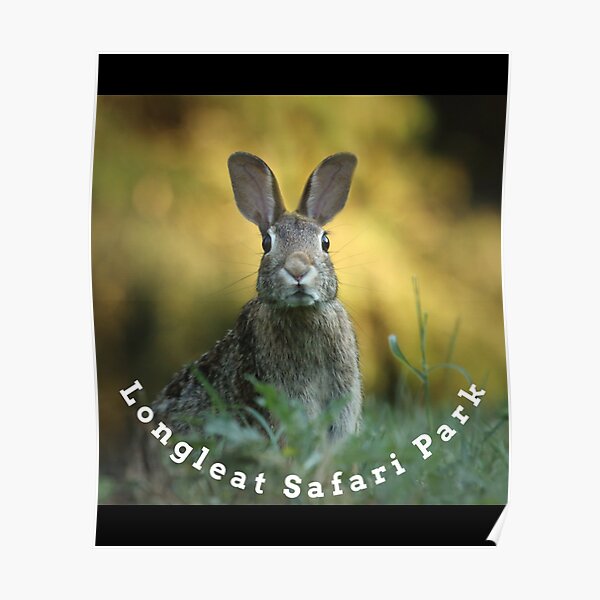 "LONGLEAT SAFARI PARK" Poster for Sale by Flexys | Redbubble