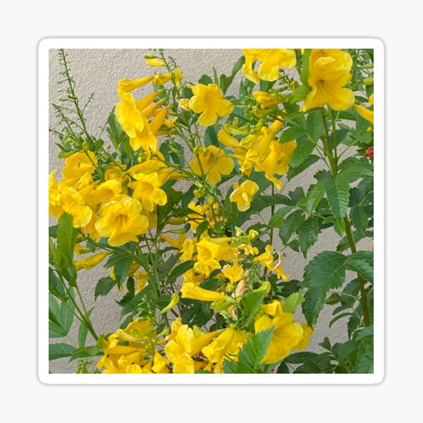 "Yellow Flowers " Sticker for Sale by pinkyjainpan | Redbubble