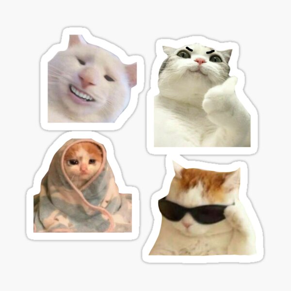 "Cute Cat Memes" Sticker by Pandayon | Redbubble