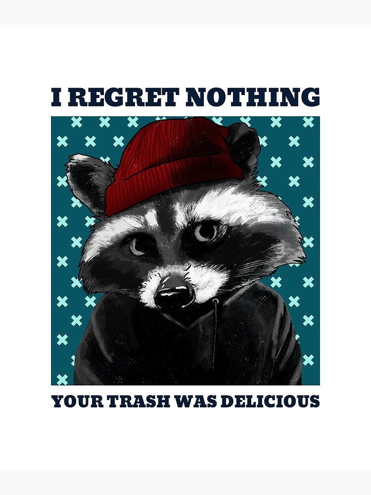 Impression photo « Je ne regrette rien | Raton laveur mignon | Animal ...