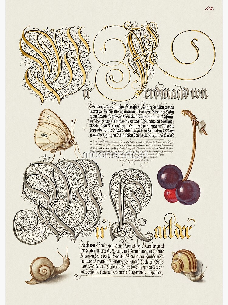 Antique 16th Century Calligraphy with Cherry, Snails, and Butterfly ...