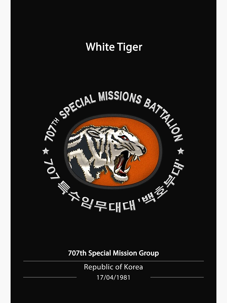 "707th Special Mission Group" Poster for Sale by Lost-Samurai | Redbubble
