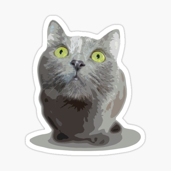 "Grey Kitty Cat" Sticker by pigment | Redbubble