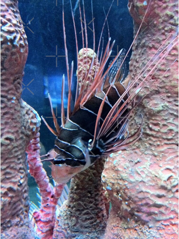 "Needle Fish" Sticker for Sale by Thatdisneylife | Redbubble