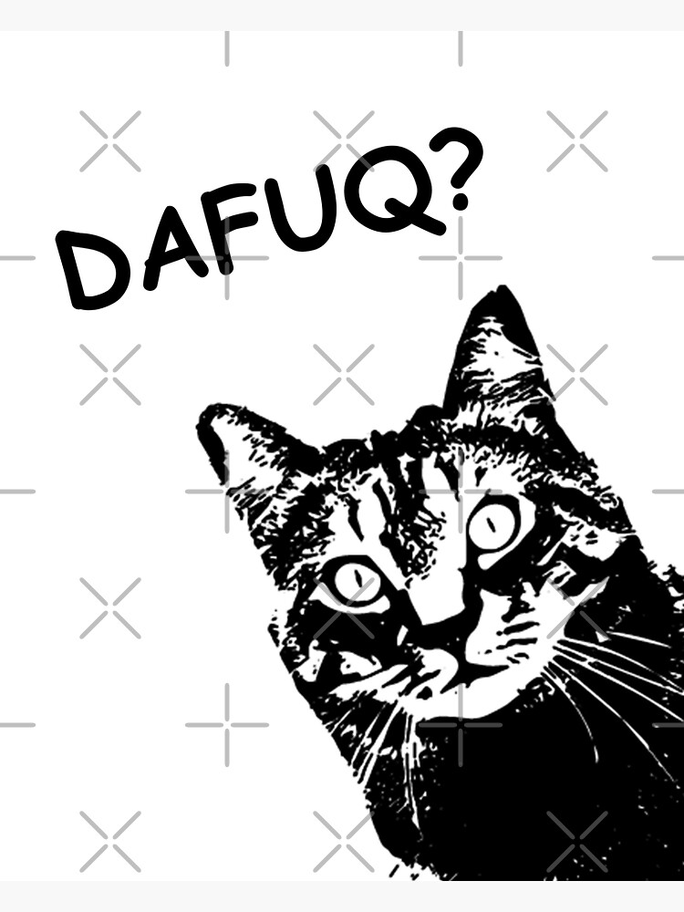 "DAFUQ Cat" Sticker for Sale by Black-RabbitArt | Redbubble