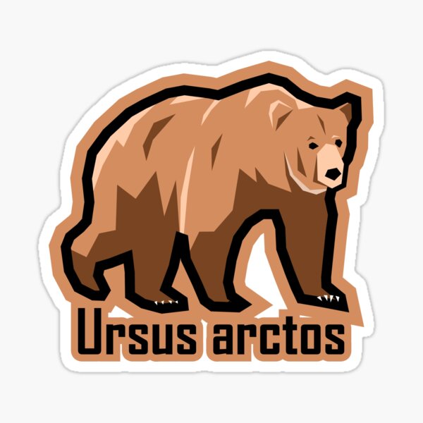 "Ursus arctos" Sticker for Sale by Collect-em-All | Redbubble