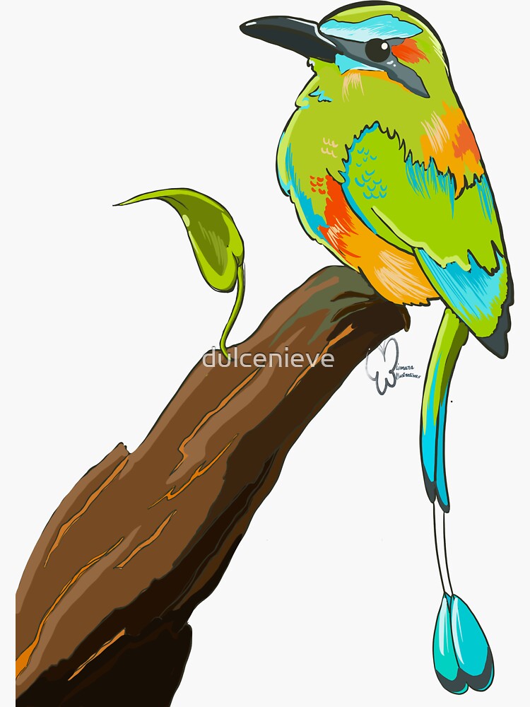 "Mot Mot " Sticker for Sale by dulcenieve | Redbubble