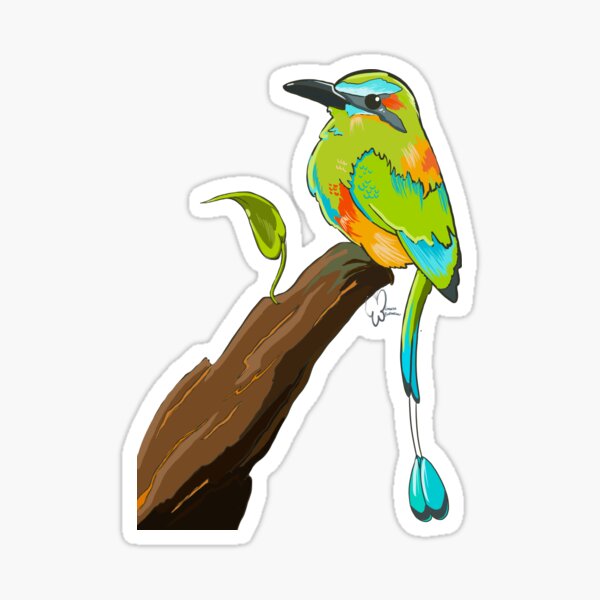 "Mot Mot " Sticker for Sale by dulcenieve | Redbubble