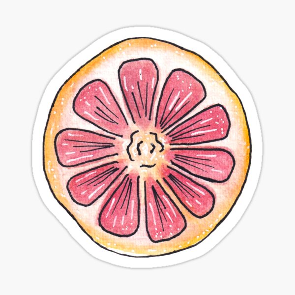 "Grapefruit" Sticker for Sale by isartsy | Redbubble