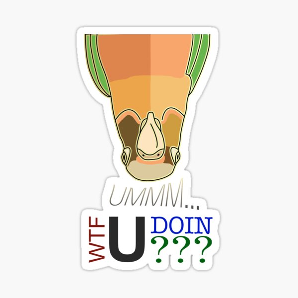 "What are you doing?" Sticker by JasonNAsh | Redbubble