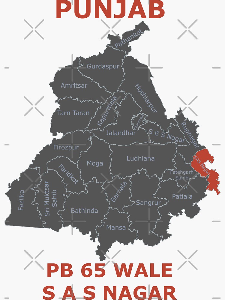 "PB 65 WALE" Sticker for Sale by gurb33n | Redbubble