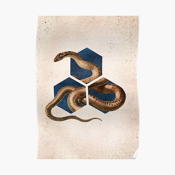 "Snake Dimension Geometrical Art" Poster for Sale by Choong700 | Redbubble