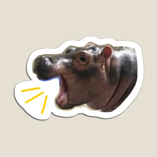 Fiona The Hippo Magnets | Redbubble