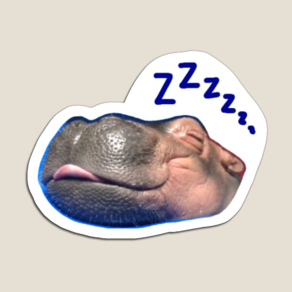 Fiona The Hippo Magnets | Redbubble