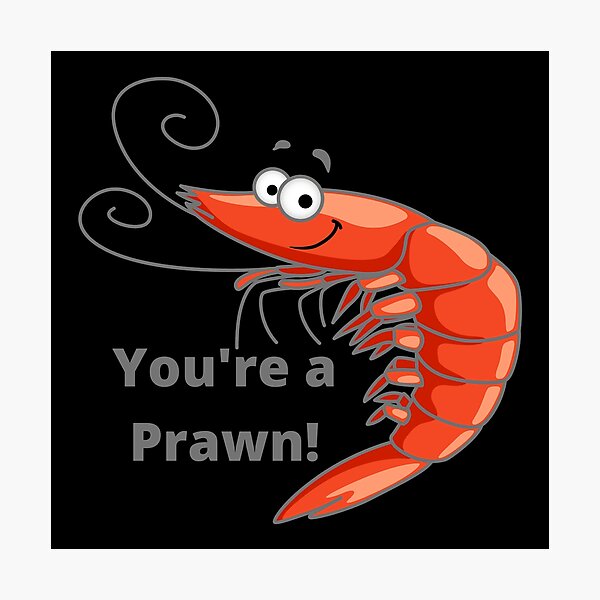Prawn Quotes