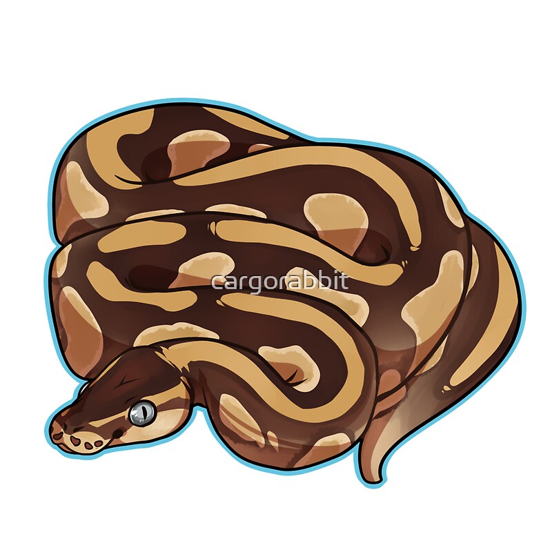 "Lesser Ball Python" by cargorabbit | Redbubble