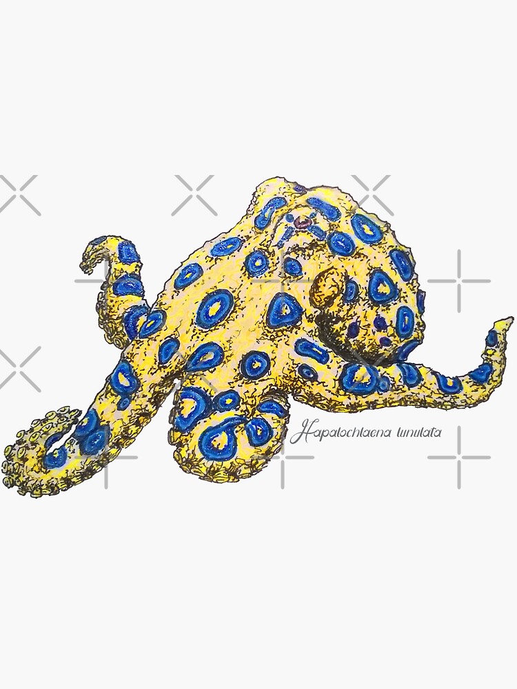 "Blue Ringed Octopus" Sticker for Sale by Scuba-Div3r | Redbubble