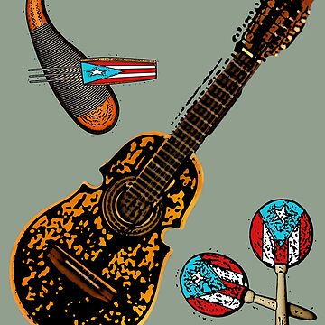Instrumentos Tradicionales De Puerto Rico 9 Musical Instruments Used