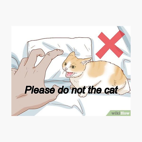 "Please Do Not The Cat Meme " Photographic Print for Sale by cnon626 ...