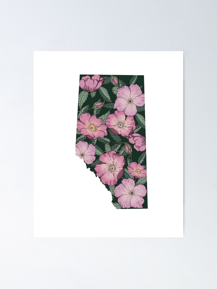 "Alberta wild Rose province flower art " Poster by wildcreatives ...