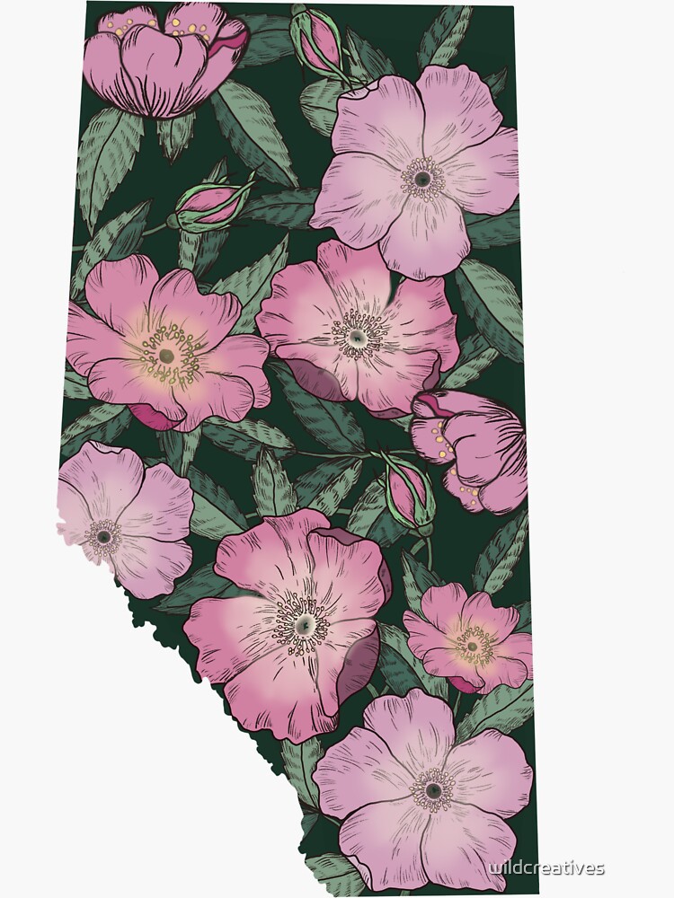 "Alberta wild Rose province flower art " Sticker for Sale by ...