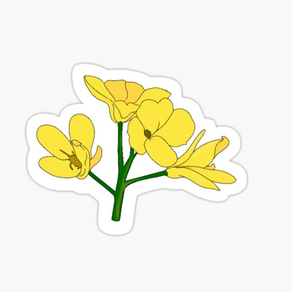 "Mustard flower " Sticker for Sale by art-stickers | Redbubble