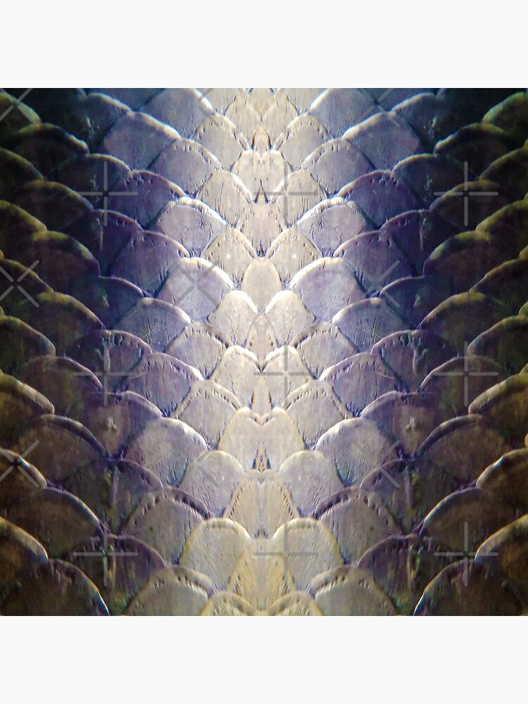 "Fish scale art" Poster by annasofia | Redbubble