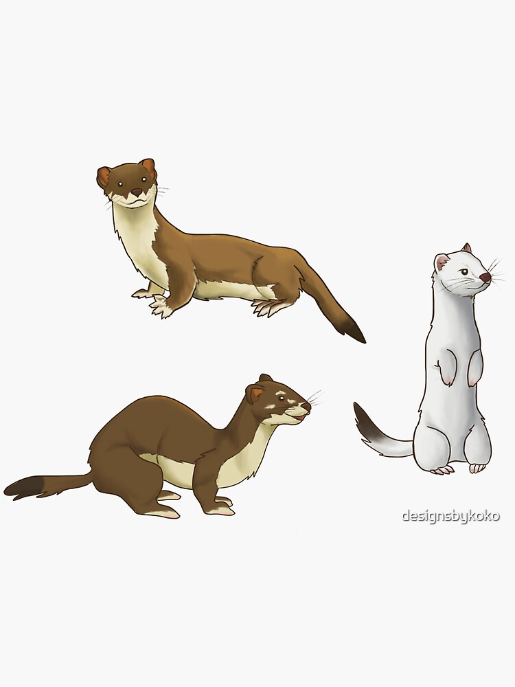 "Stoat Trio" Sticker for Sale by designsbykoko | Redbubble