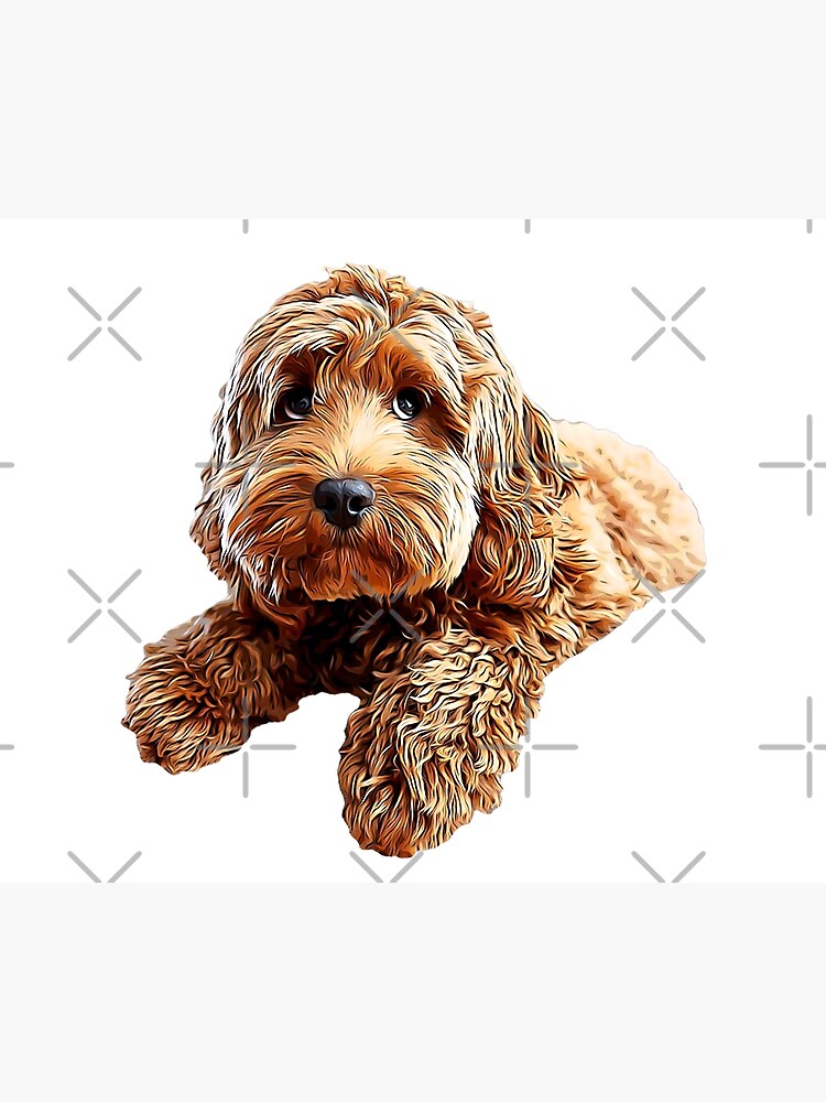 "Doodle Cockerpoo Cockapoo Spoodle Cute Puppy Dog" Poster by Elarex ...
