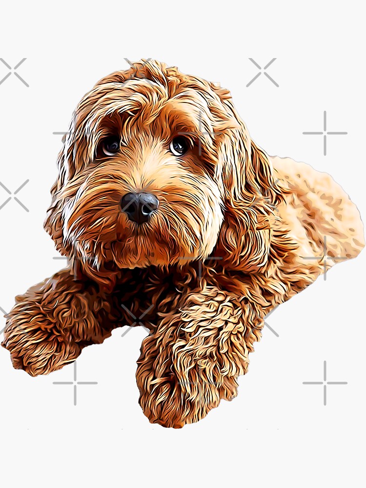"Doodle Cockerpoo Cockapoo Spoodle Cute Puppy Dog" Sticker for Sale by ...
